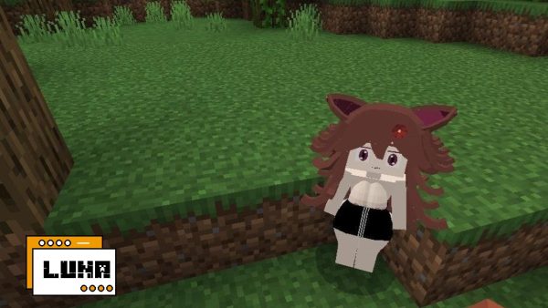 Jenny and Jenny 2 Mods on Minecraft 1.22 & 1.21: Girlfriends