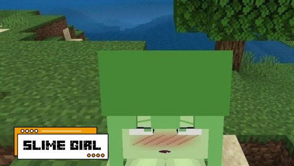 Jenny and Jenny 2 Mods on Minecraft 1.22 & 1.21: Girlfriends